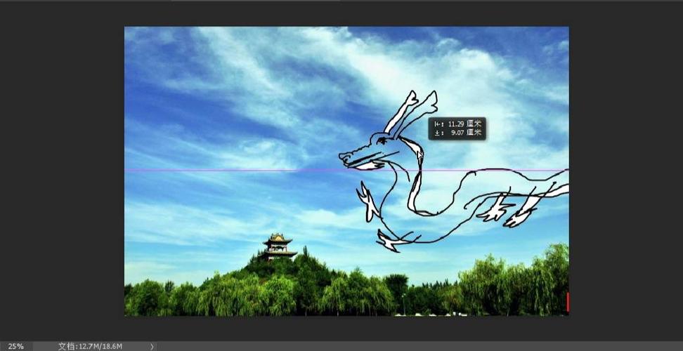 神龙ip官网下载图标