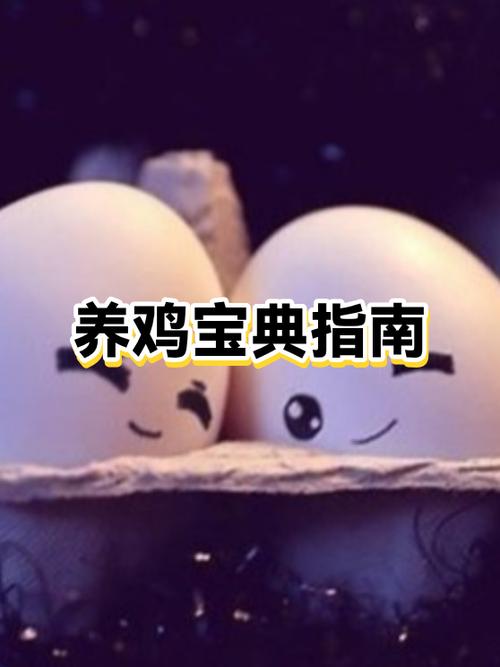 鸡舍土地好还是水泥地好图标