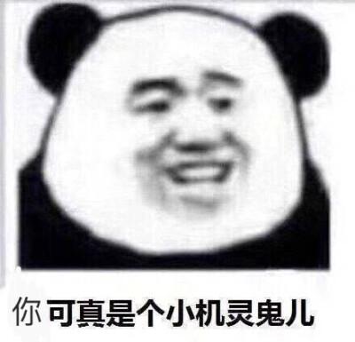 你个小机灵鬼怎么回复