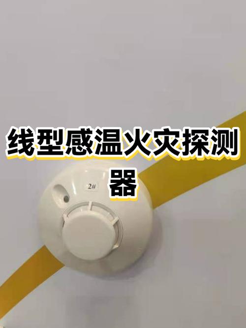 小米今日股价多少图标