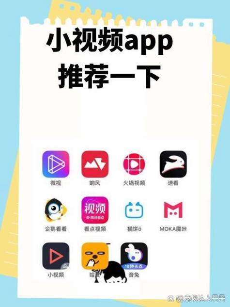 拍视频可以加音乐的手机app图标