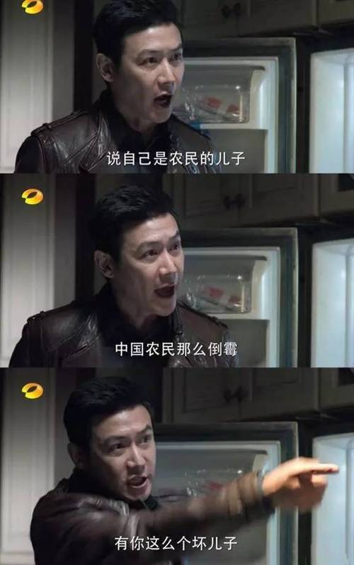 因为我是农民的儿子截图