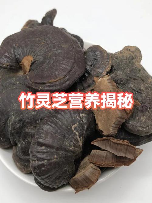 竹灵芝的功效与作用图标