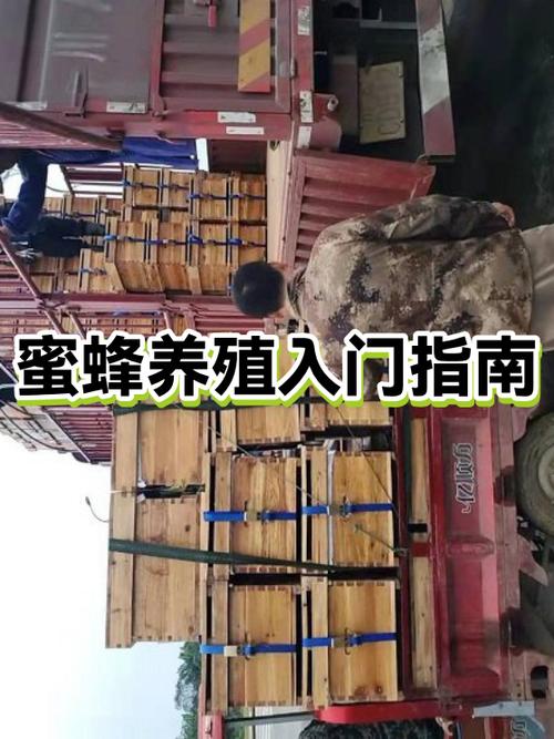 养蜜蜂补贴申请