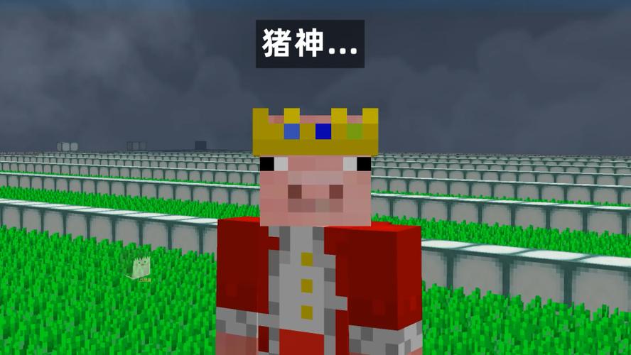 mc喊的什么嘿咻截图
