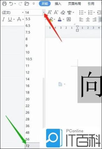 怎么扩大字体