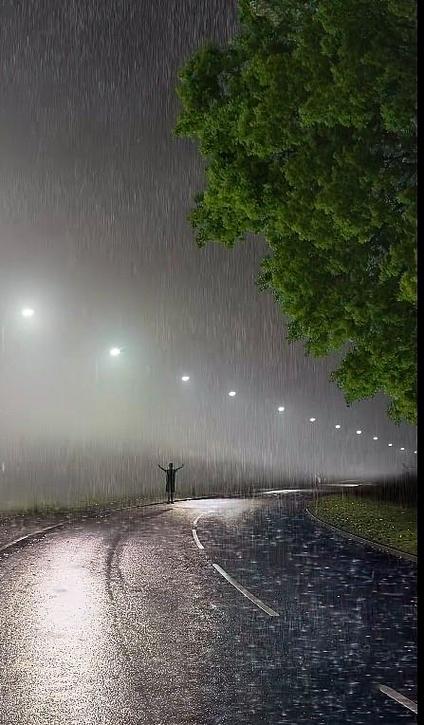 前路漫漫雨纷纷的含义