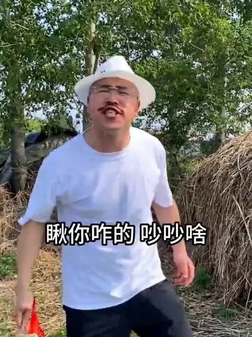 东北你瞅啥视频截图
