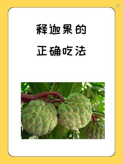 释迦果的正确吃法图解图标