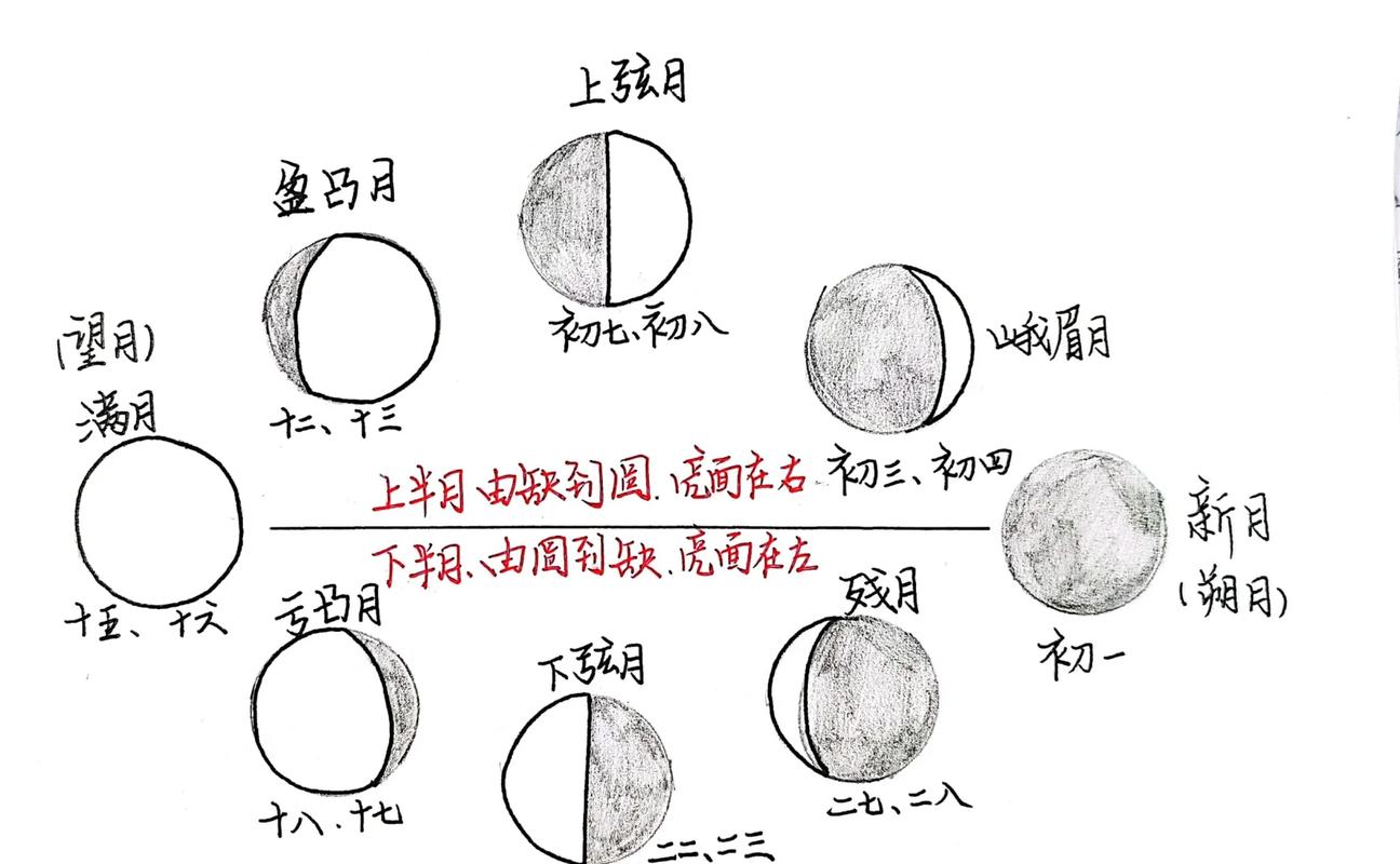 picopico月亮币提现比例图标