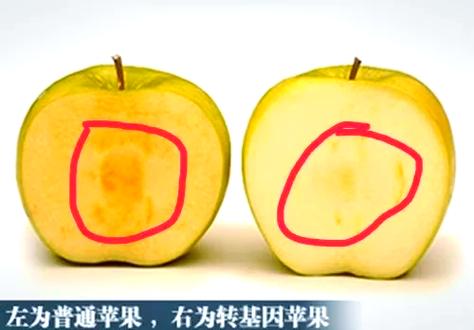 华为手机资料怎么传到苹果手机图标