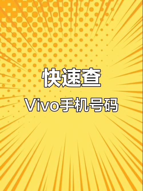 vivo手机版本号在哪里图标