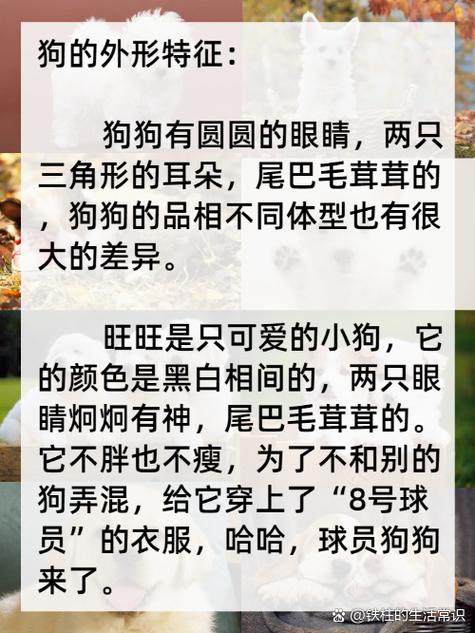 狗的特点有哪些图标