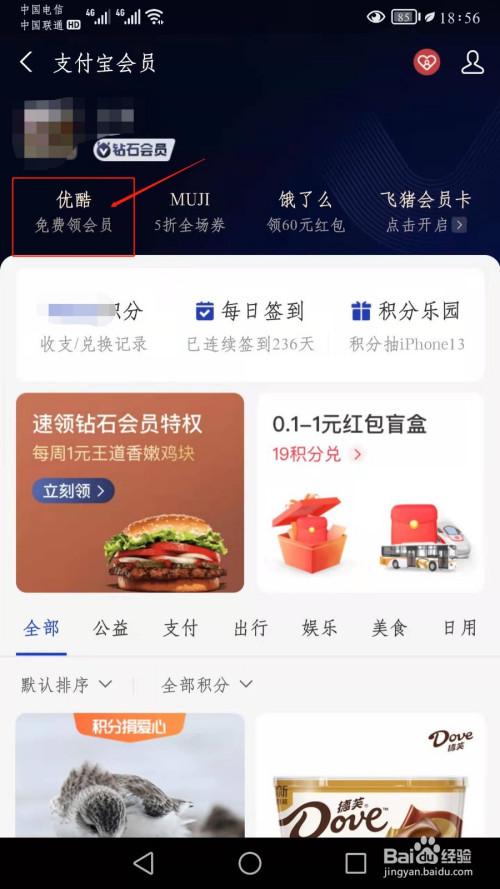 支付宝怎么看优酷会员连续包月图标
