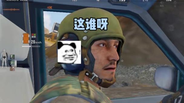 小鲨鱼暗区突围直装图标