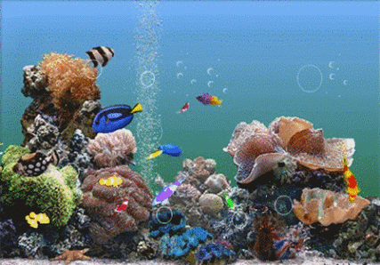 电视水族馆动态屏保图标
