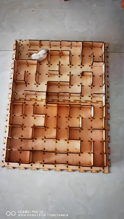 仓鼠迷宫大闯关图标