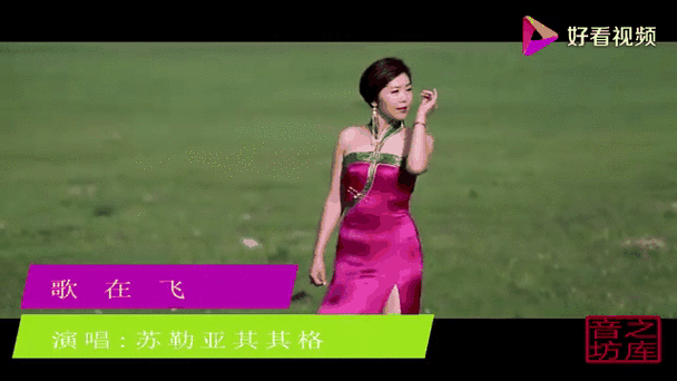 我想听飞这首歌图标