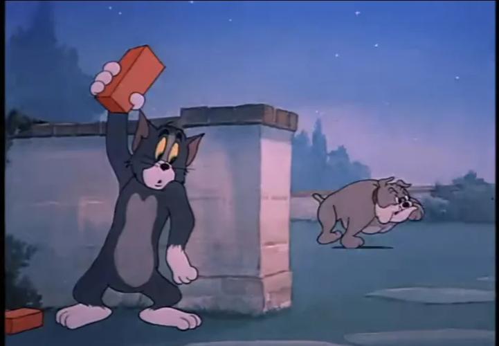 猫和老鼠击晕