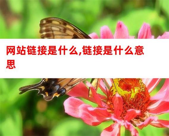 链接是什么意思图标
