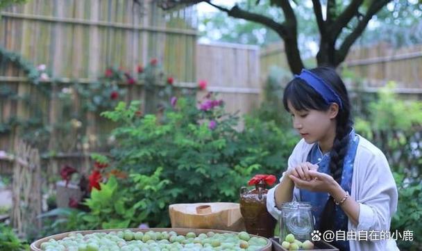 李子柒有直播吗图标