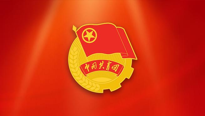 团团共青团图标