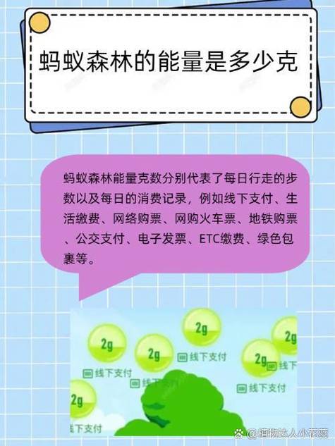 蚂蚁森林10克怎么来的图标