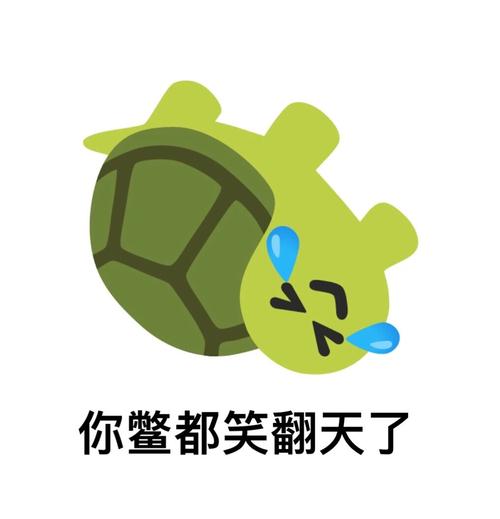 很火的王八表情包截图