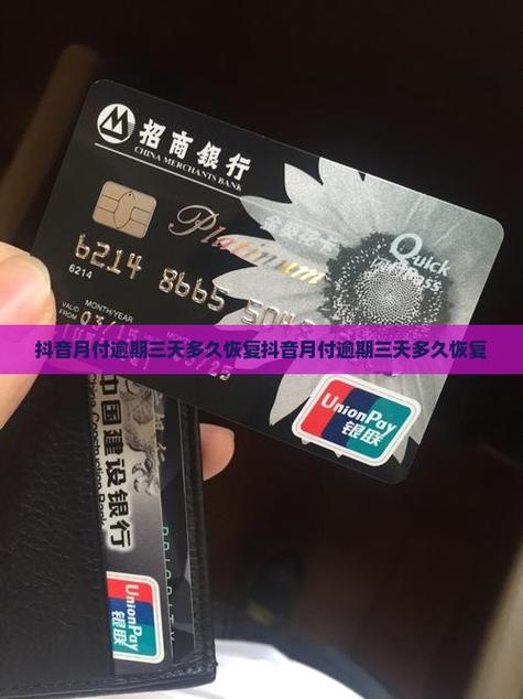 抖音月付逾期还款后多久能恢复使用图标