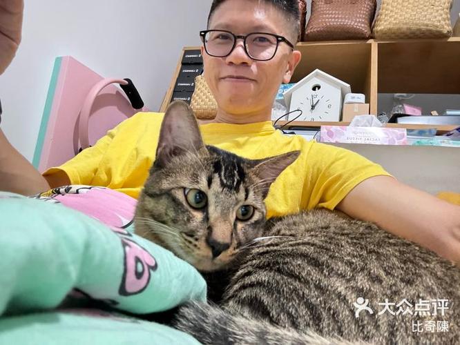 喵喵试看点赞视频截图