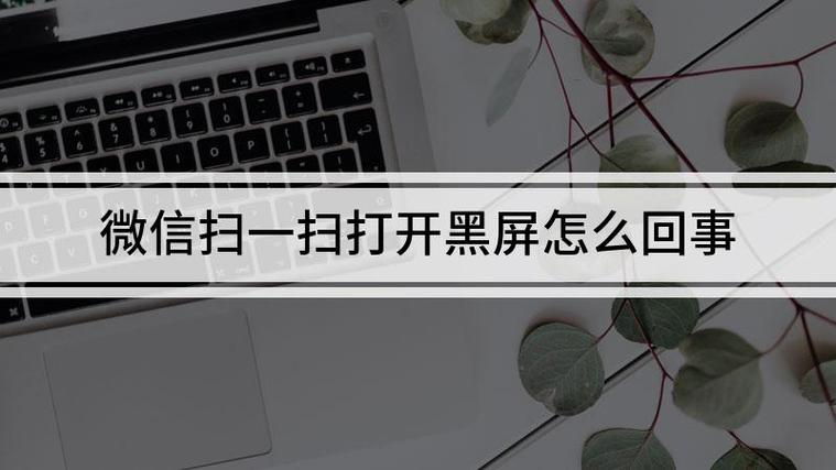 微信扫一扫为啥是黑屏图标