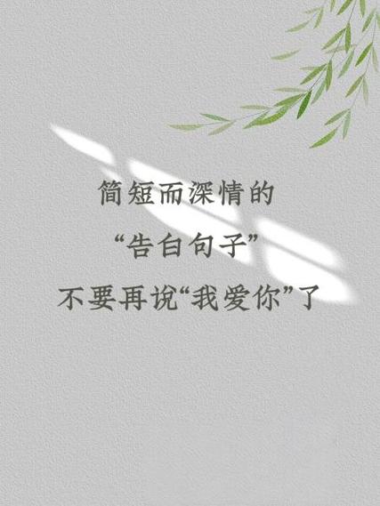 一段简短而深情的告白截图