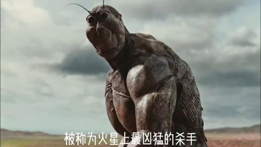 火星影视2019最新版下载图标