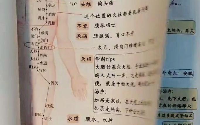 倪海厦针灸大成笔记26图标
