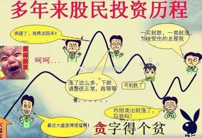 炒股能赚钱吗截图