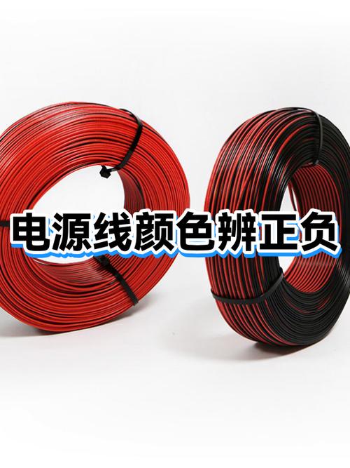 一蓝一棕哪个是正极图标