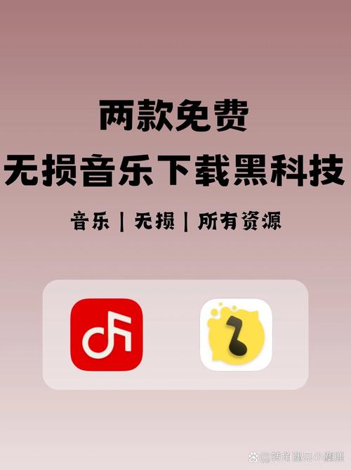 音乐视频下载图标