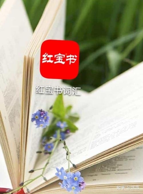 红宝书官网序列号查询图标