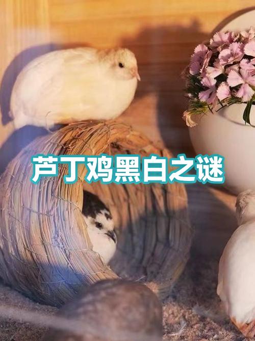 被拉黑了对方能看到我发的信息吗图标