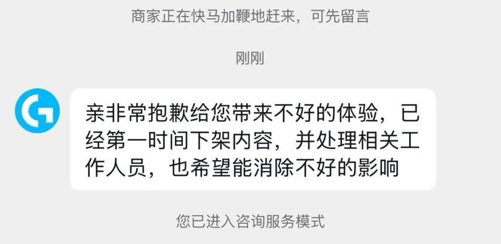 罗技在线客服截图