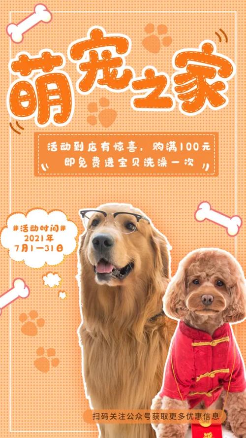 宠物店广告语特色