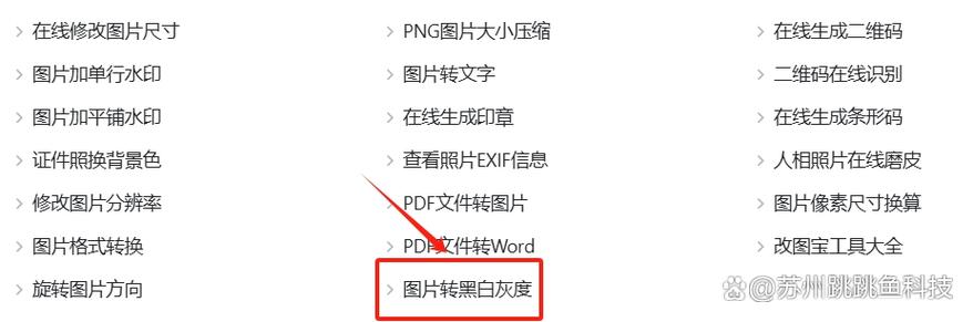 word怎么把图片弄成黑白的