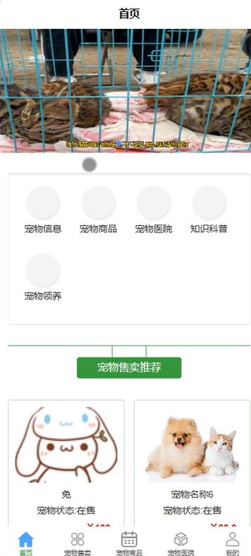 宠爱love软件截图