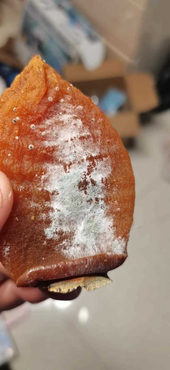 柿饼坏了最明显三个特征图标