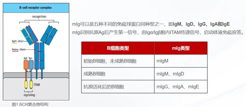 TRBC什么意思图标