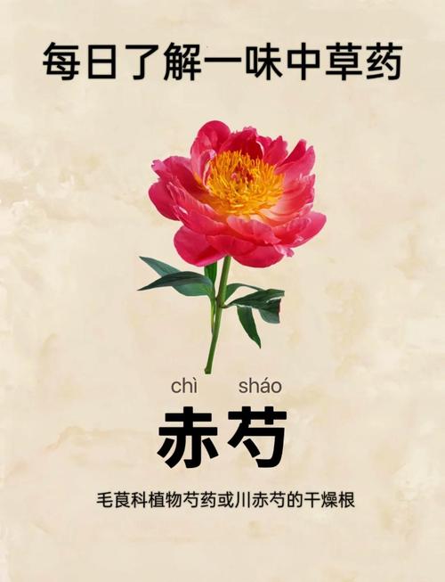 赤芍的俗称叫什么图标