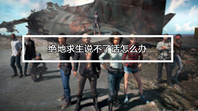 pubg队伍语音没声音截图