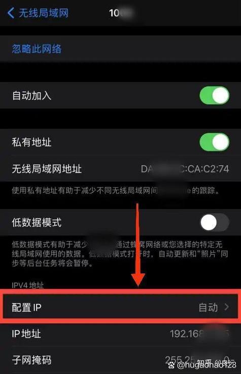 ios改IP地址图标