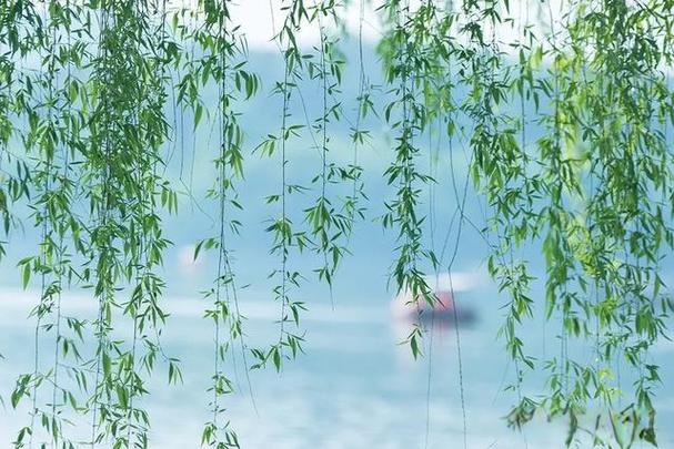 《春风》杜牧图标