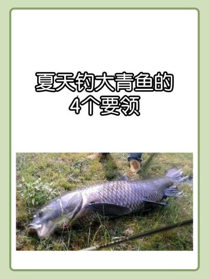 钓10到30斤大青鱼用几号鱼钩图标